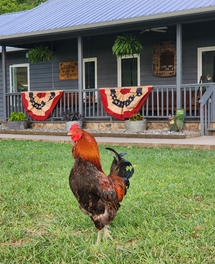 Our Little Blue Farmhouse, LLC